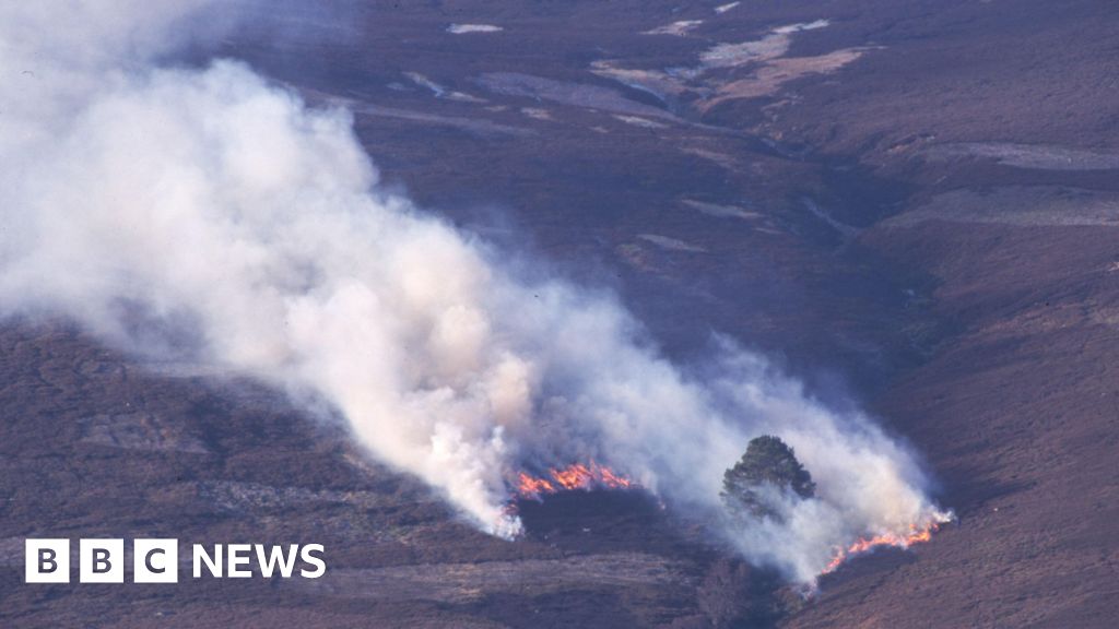 More than one wildfire a day in Scotland over four-month period - BBC News