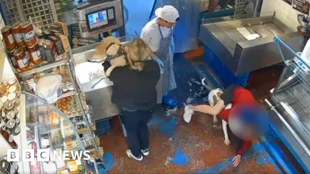 Watch: Moment suspected XL Bully attacks cockapoo - BBC News