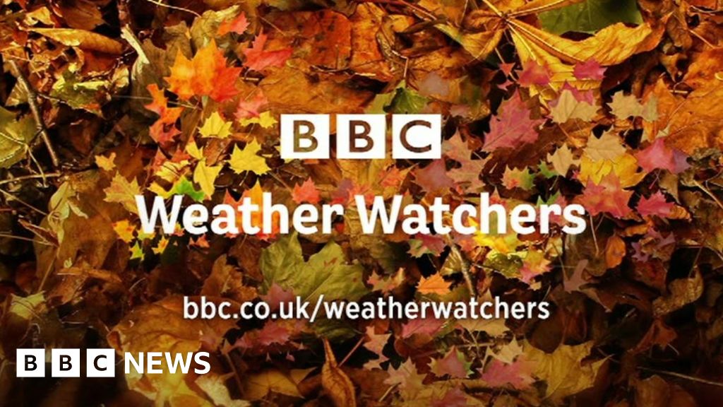 Join the nation's Weather Watchers - BBC News