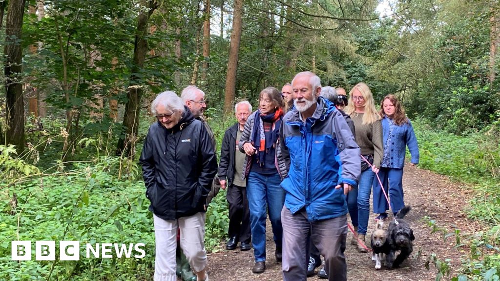 Campaign group to fight Matlock woodland holiday park plan - BBC News