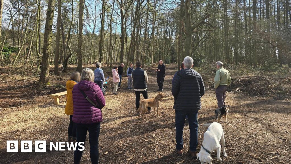 Hurcott Pools and Wood to be restored after storm damage