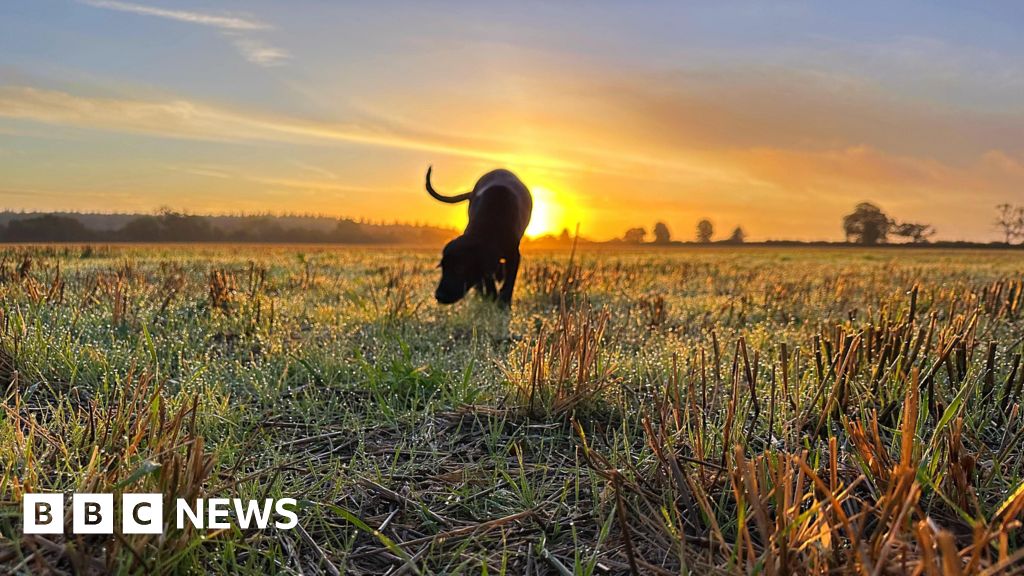 Oxfordshire's Big Picture: 14 October - 20 October 2024