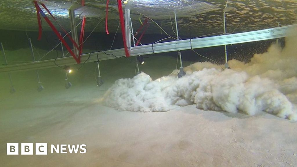 How microplastics are transported into the deep