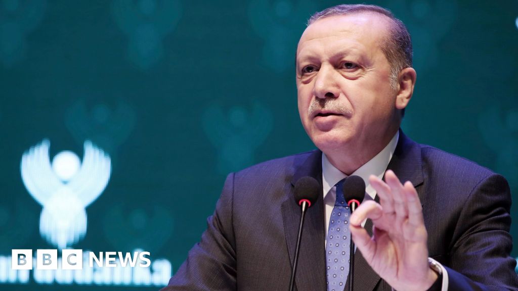 Erdogan anger as Germany-Turkey war of words escalates - BBC News