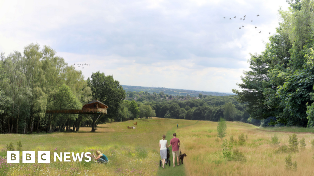 Allestree Park: UK's largest urban rewilding project gets approval ...