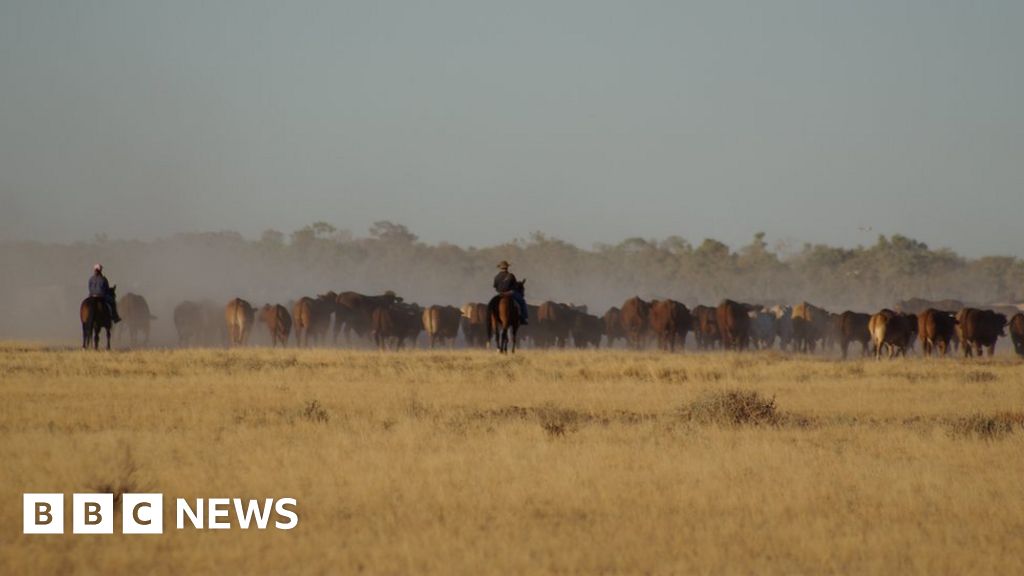 Chinese-led deal to buy Australia's biggest farming estate - BBC News