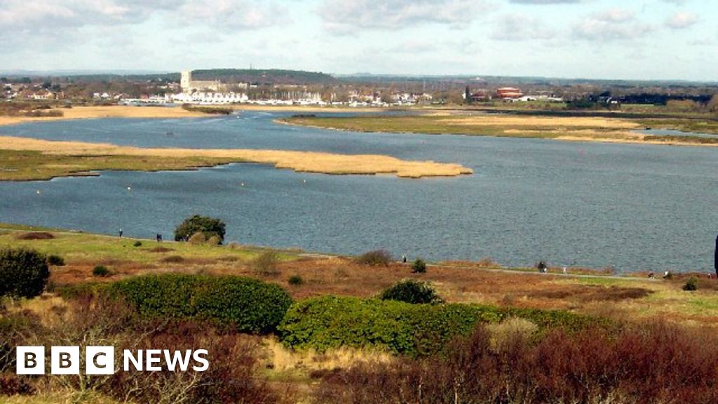 East Dorset District Council u-turn over unitary council plans - BBC News