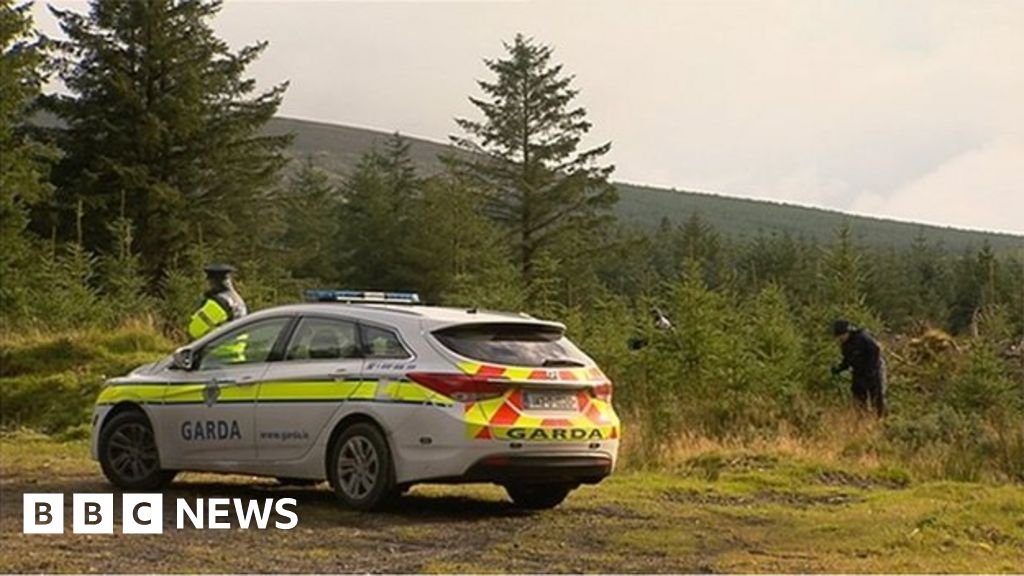 Dublin murder: Man, 41, released in woods body investigation - BBC News