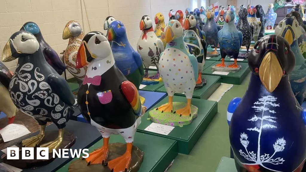 Last chance to see Guernsey's Puffin Parade - BBC News