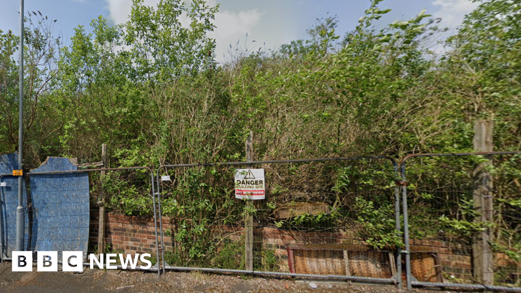 Hanley plan for 319 homes held up by trees appeal