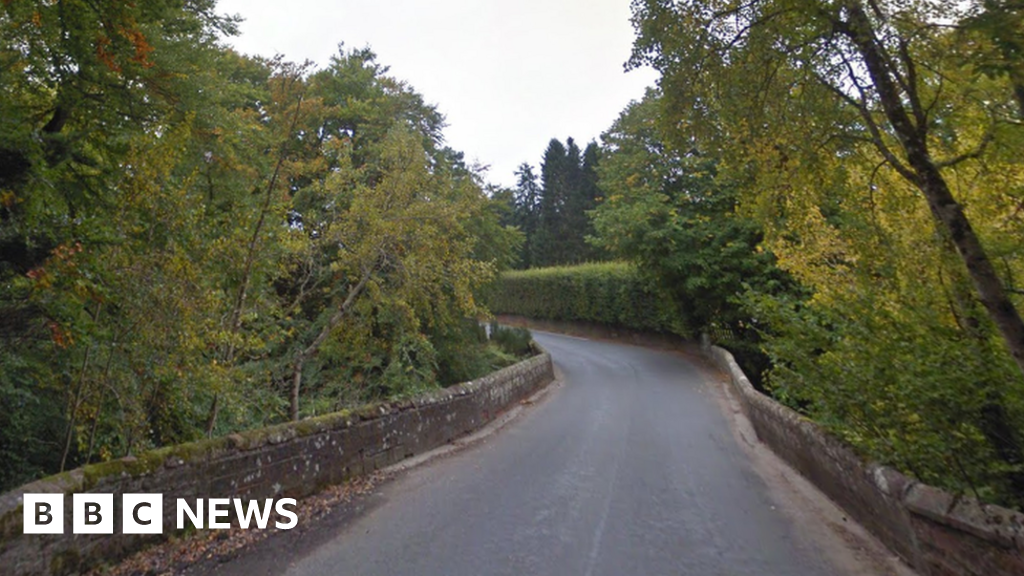 Dog dies after Angus river plunge - BBC News