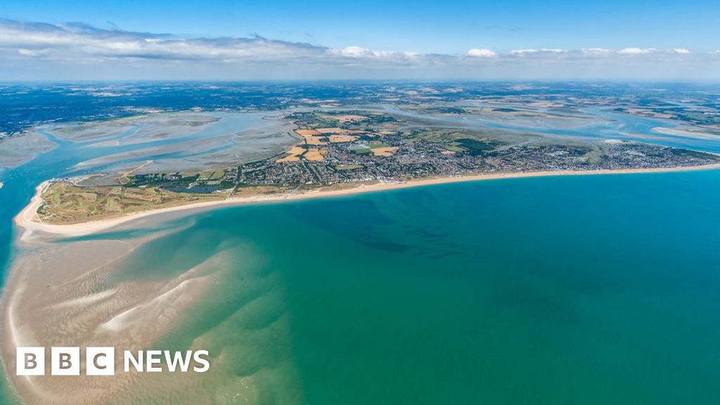 Solent Seascape Project launched to restore marine habitats - BBC News