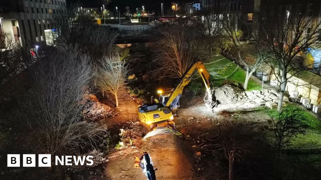 More than 200 trees proposed for Plymouth after felling - BBC News