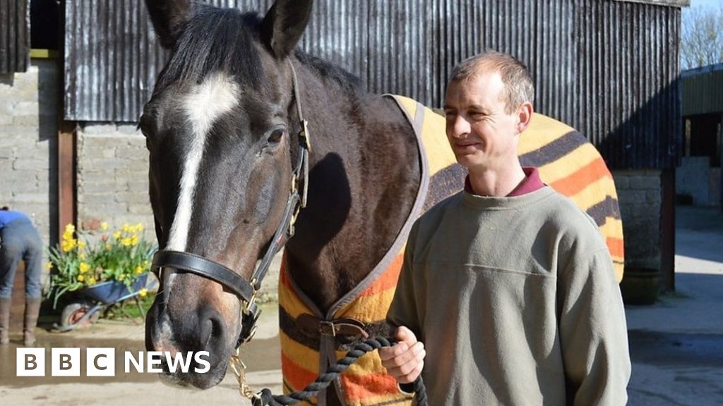 Pembrokeshire stable boy reunited with 'warrior' racehorse - BBC News