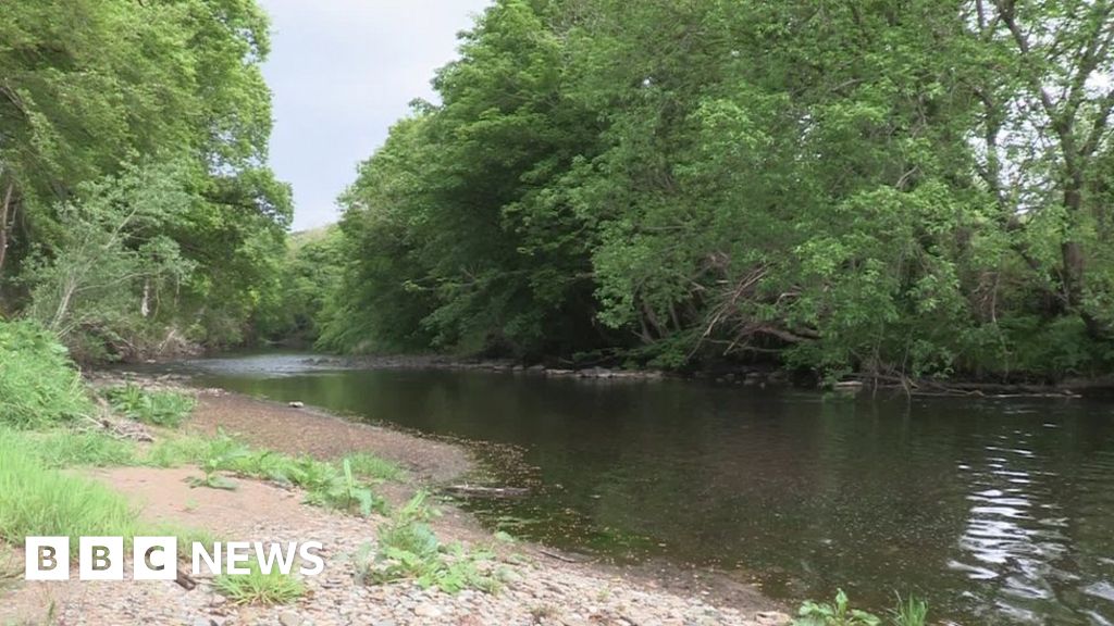 NI set to miss environmental target on rivers - BBC News