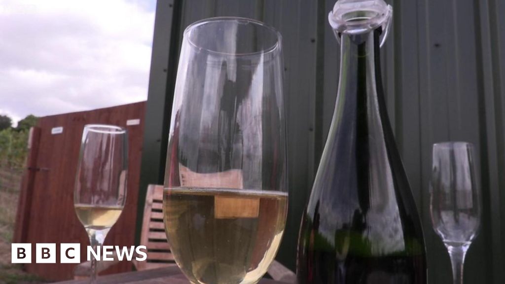Oxford vineyard ready to sell wine