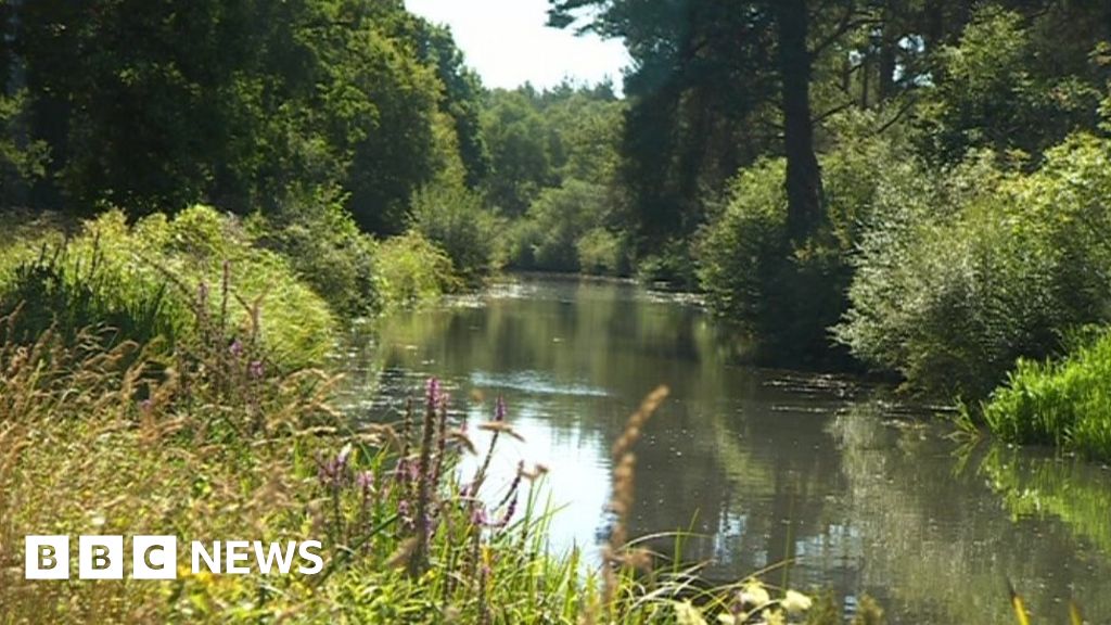 Basingstoke Canal stretch closed as water levels fall - BBC News