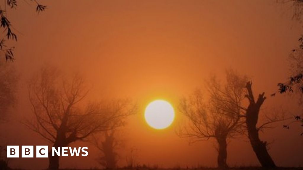 Big rise in atmospheric CO2 expected in 2019