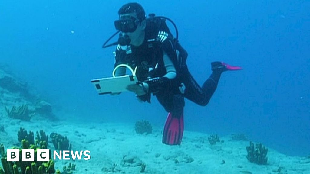 2017 Whitley Gold Award winner: 'Fish loved me but people didn't' - BBC ...