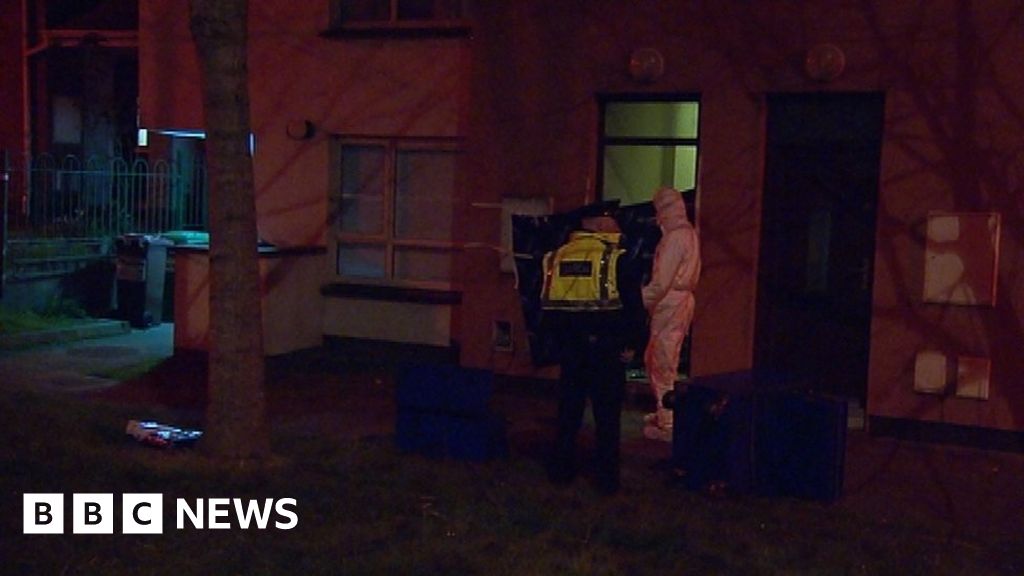 Man dies after suspected stabbing in Dublin