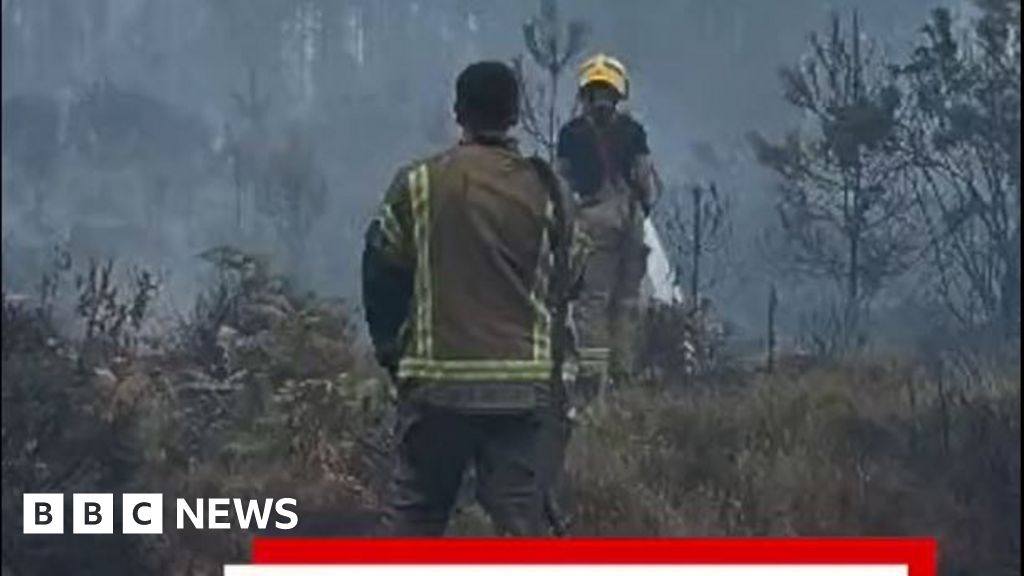 'Non-stop' wildfires in Dorset - BBC News