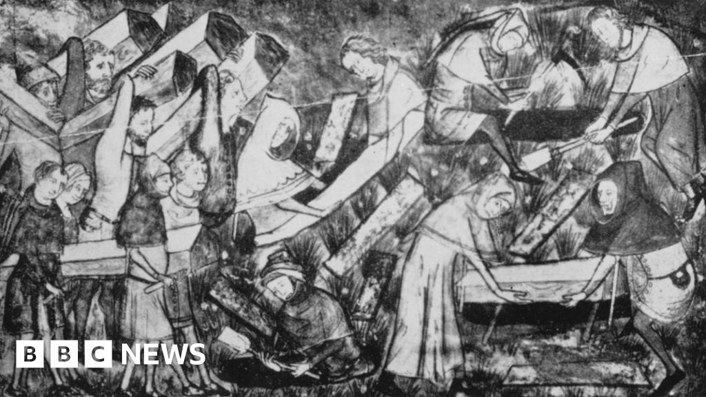 'Black Death' comment plagues UKIP on Twitter - BBC News