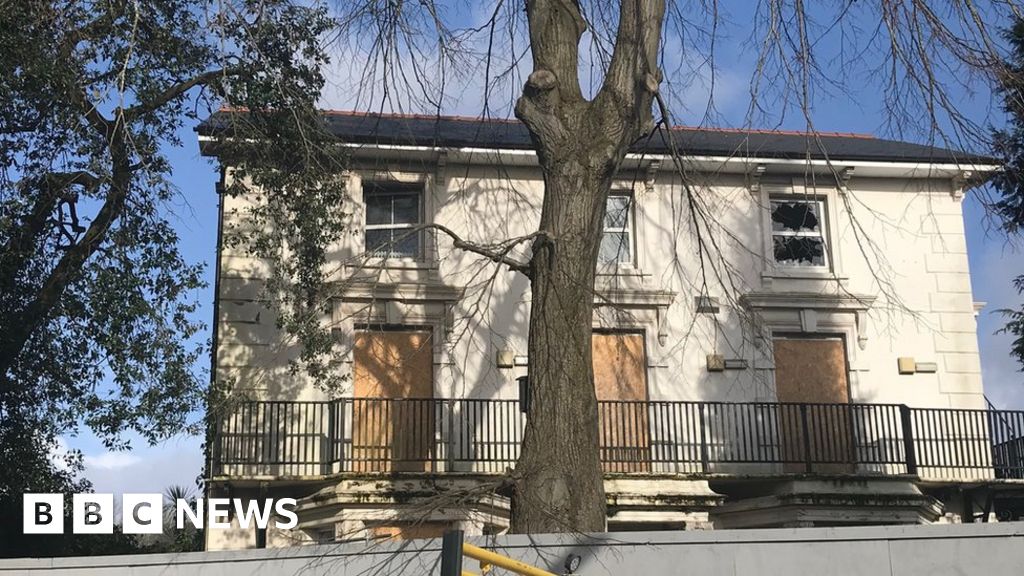 Cardiff climate change activist arrested over tree protest