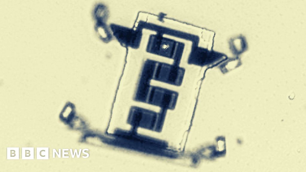 Scientists create a microscopic robot that ‘walks’ - BBC News