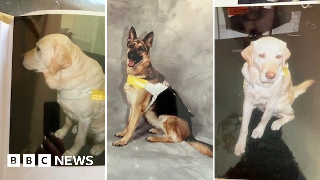 Tyneside woman's agony of two-year wait for guide dog - BBC News