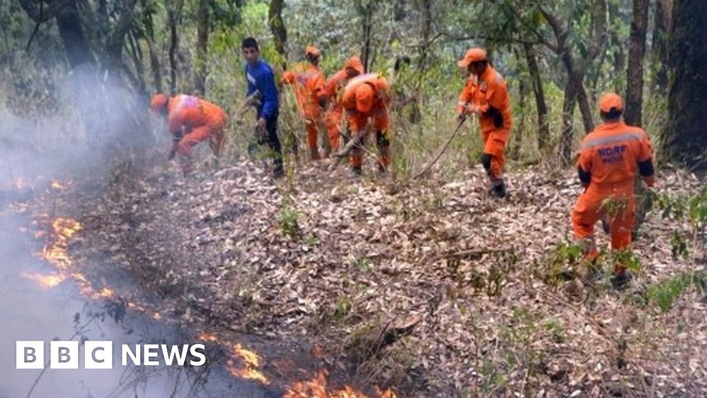 India fires: Rainfall douses deadly blazes in Uttarakhand - BBC News