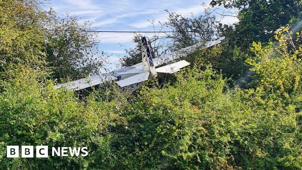 Bedfordshire: Pilot safe after plane crash-lands in tree