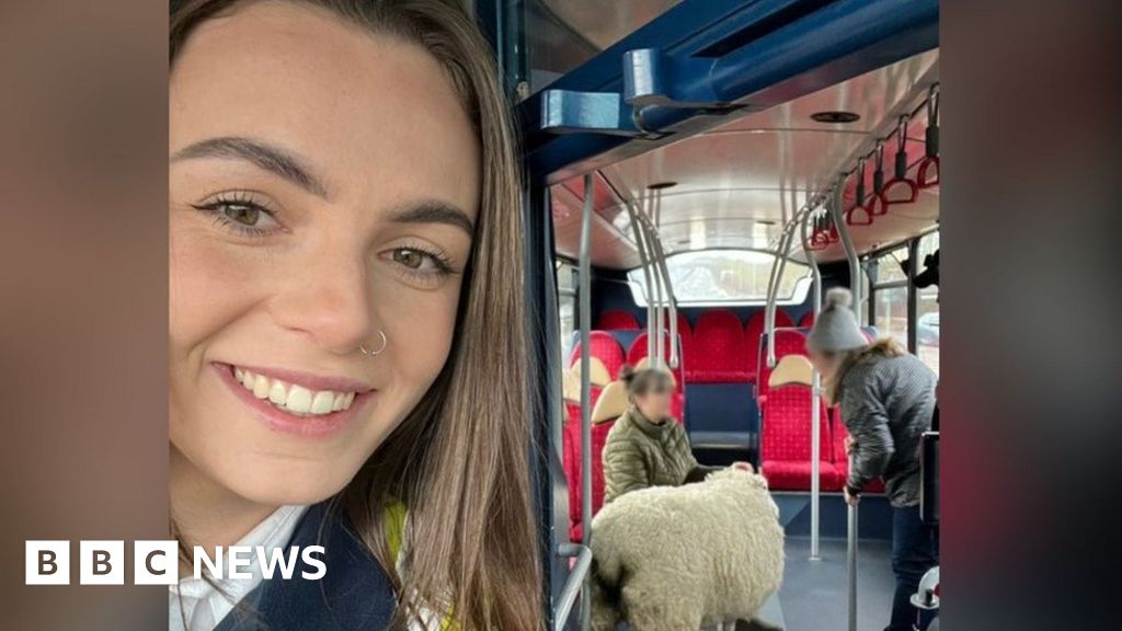 Bus driver helps rescue sheep from busy Sussex road - BBC News