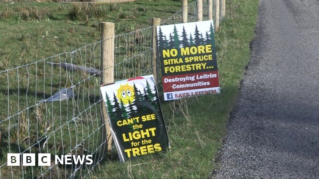 Leitrim trees: Anger at Irish climate change scheme