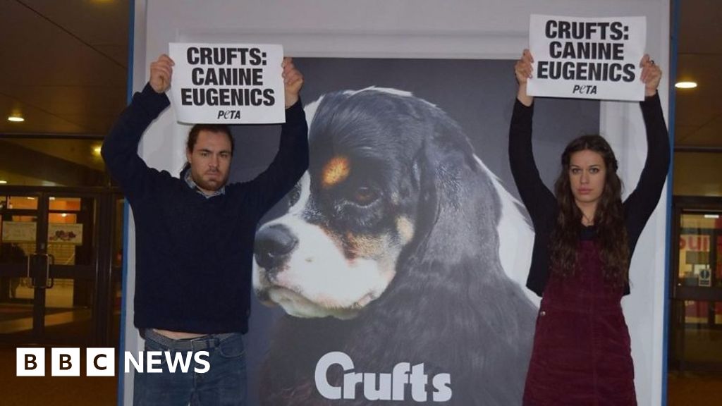 Crufts 2018: Why did protesters storm the stage?