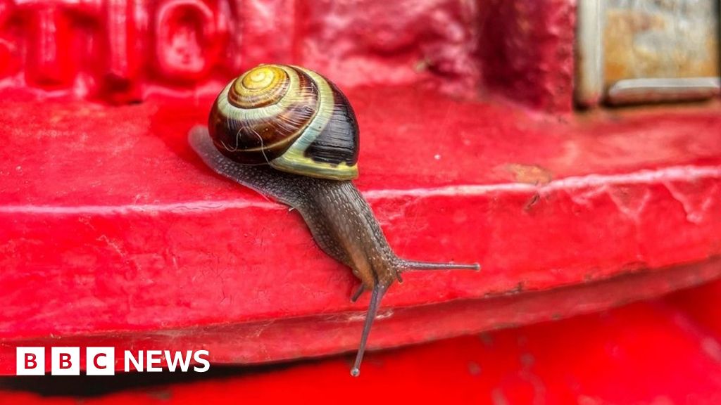Your pictures of Scotland: 23 to 30 June - BBC News