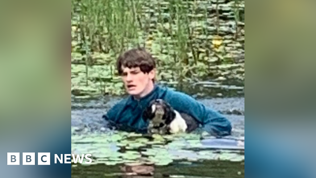 Scottish teen hero on holiday rescues sinking dog - BBC News