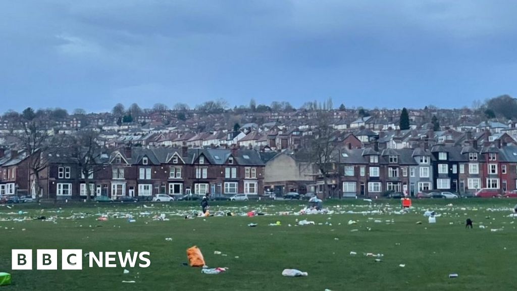 Endcliffe Park: Woman raped after hundreds gather in Sheffield - BBC News