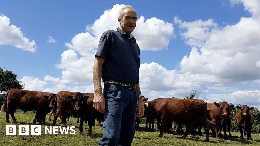 The Devon farmer who carries a cowpat - BBC News