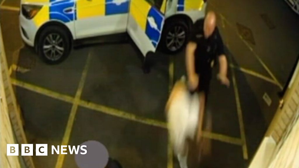 Police officer assaulted suspect while he was handcuffed