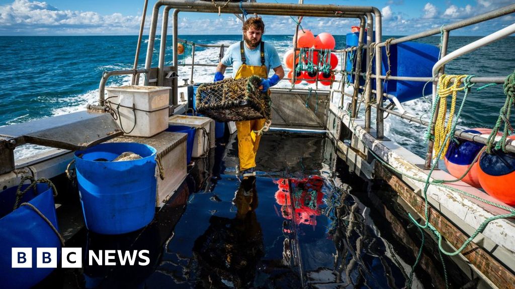 Association seeks States support for fish freezing