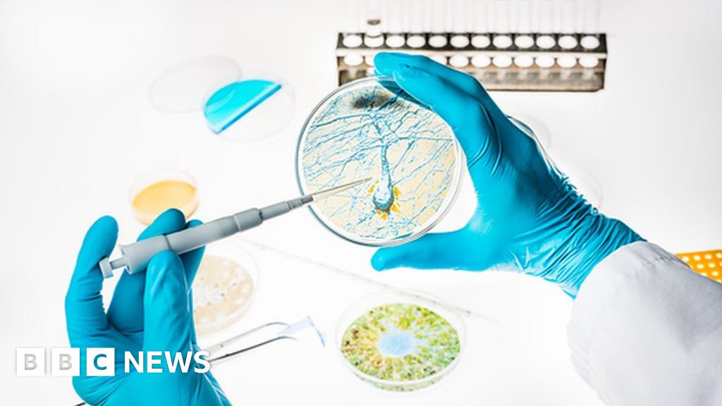 Pharma giant Pfizer pulls out of research into Alzheimer's