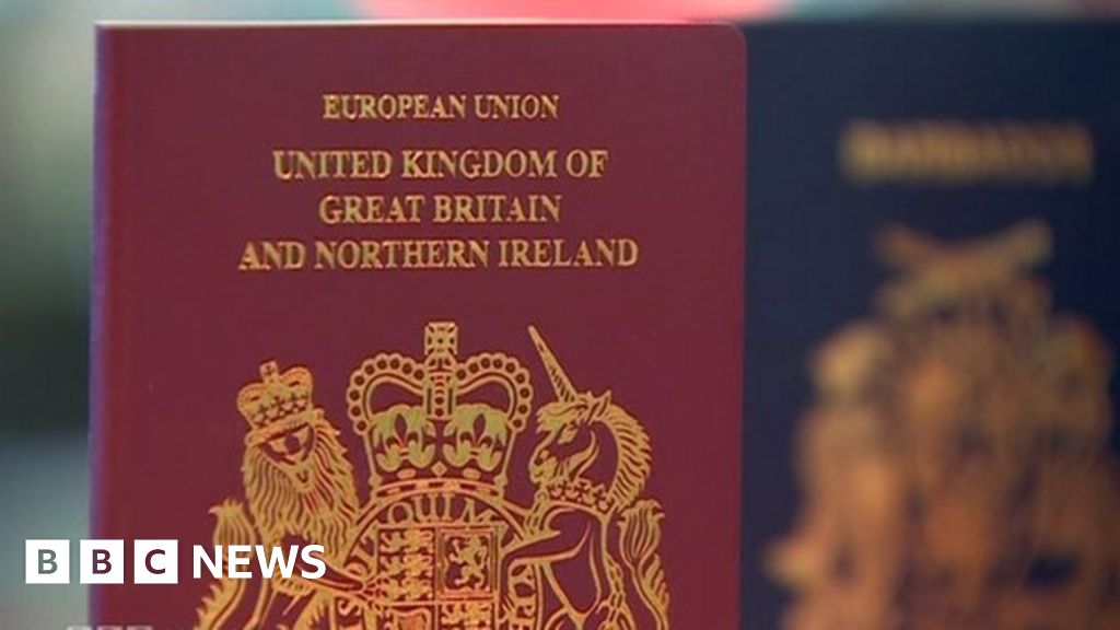 Northern Ireland ports see rise in illegal immigrants - BBC News