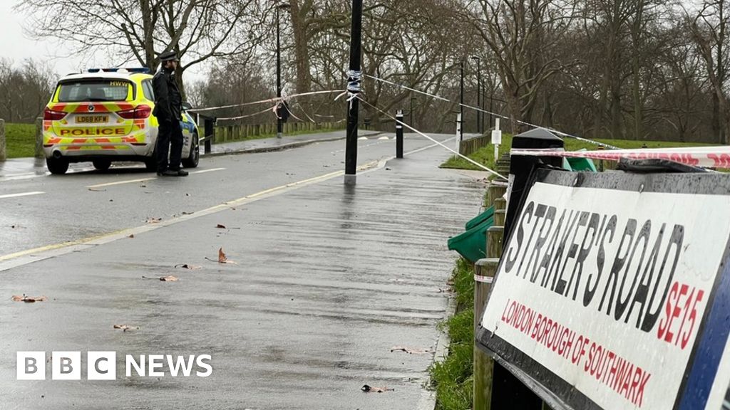 Peckham Rye stabbing: Two teenagers charged with murder - BBC News
