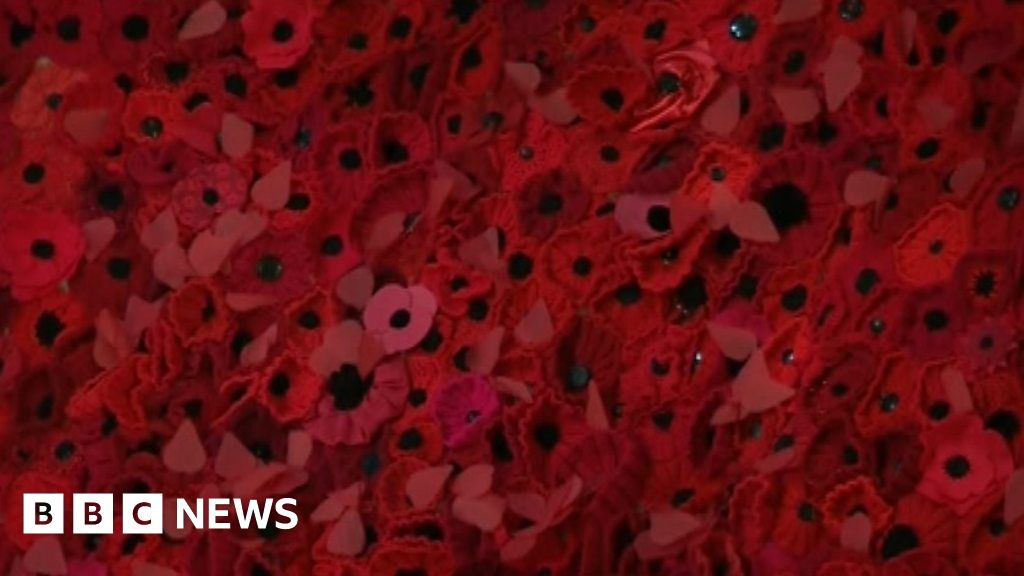Huge waterfall of poppies created by GCHQ staff - BBC News