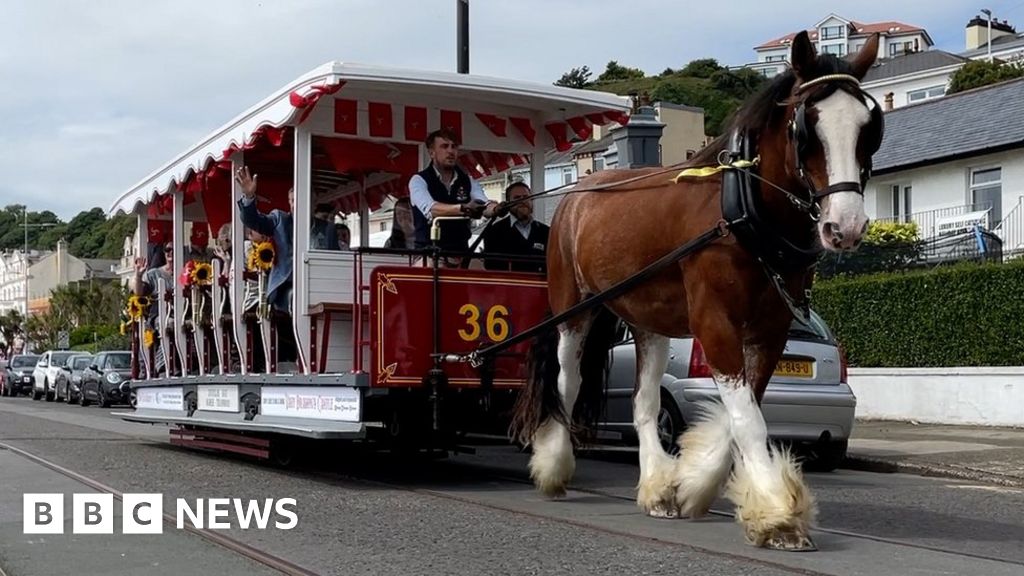 Isle of Man's popular horse trams return after three years - BBC News
