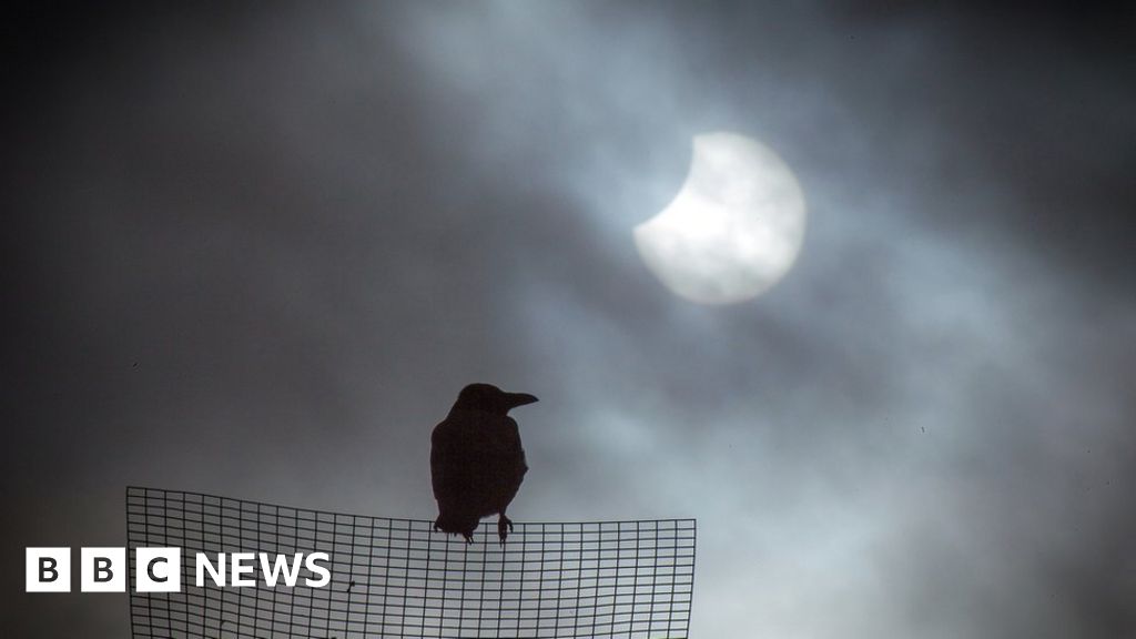 Partial eclipse takes place in skies over Northern Ireland - BBC News