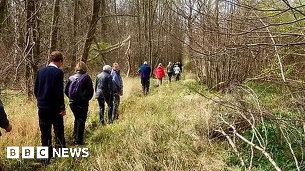 Rockingham Forest project awarded nearly £250k by lottery fund - BBC News