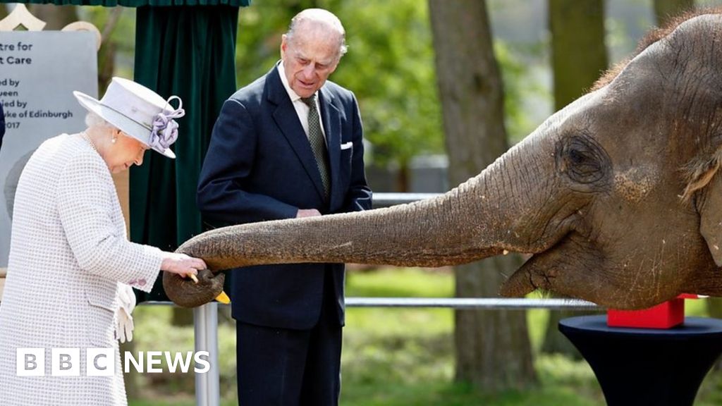 Queen Elizabeth II and her lifelong love of animals - BBC News