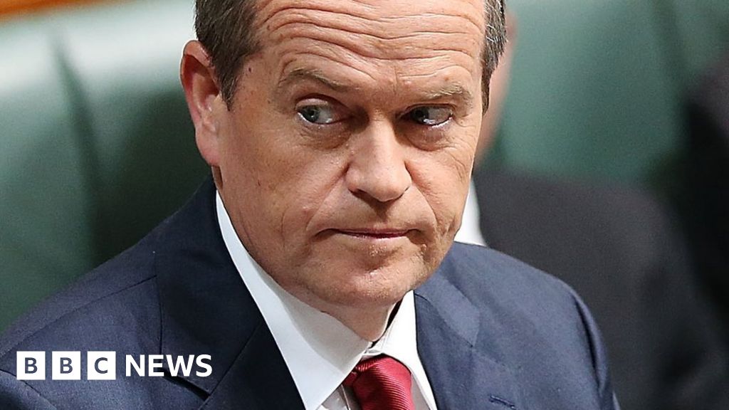 Australia Labor leader Shorten calls rival a 'homophobe' - BBC News