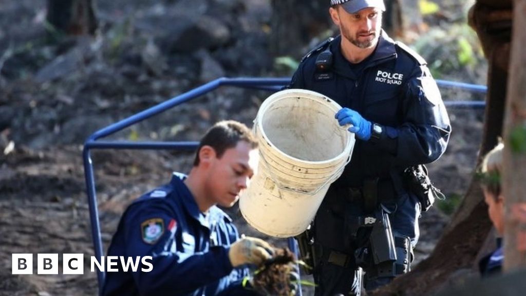 Australian man's remains found 10 years after disappearance - BBC News